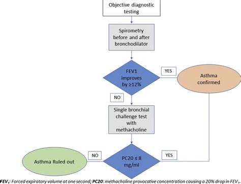 Algorithm For Stepwise Asthma Verification Testing Download Scientific Diagram
