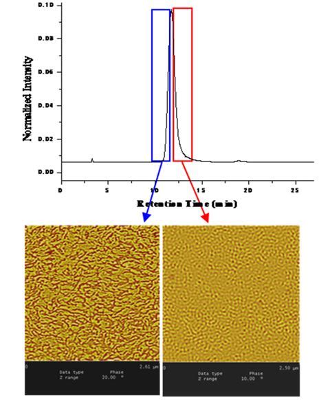 Novel Gradient Elution Chromatography Atomic Force Microscopic Hyphenated Offline Coupling