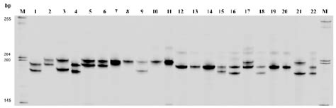 Acom 6422 Simple Sequence Repeat Ssr Locus Analysis Of Polymorphism Download Scientific