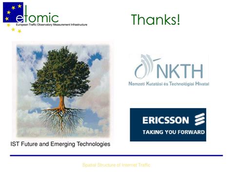 Ppt Measuring The Spatial Structure Of Traffic Congestion In The Internet Powerpoint