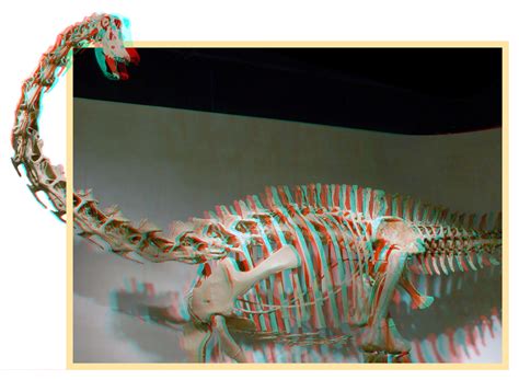 anaglyph 3d images digital 3d stereo how to books