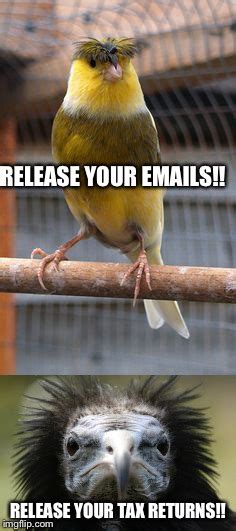 Ugly Bird Memes Dont Touch Angry Bird Comedy Funny New Phone