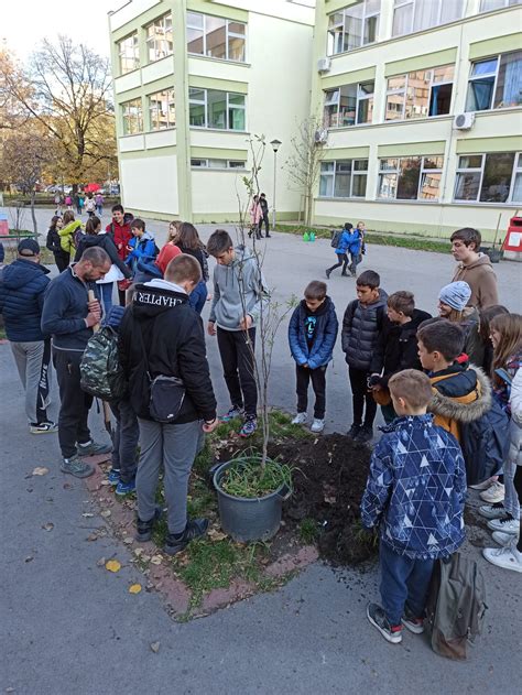 Ozelenjavanje OŠ Jovan Popovic Neofyton