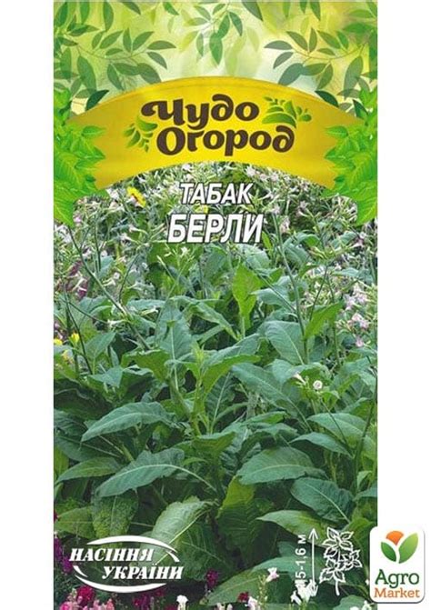 Семена курительного табака "Берли": купить в Одессе, Киеве и Украине ...