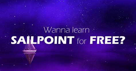 100 Free Sailpoint Training And Tutorial Series The Only Idm Course
