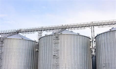 Modern Steel Agricultural Grain Granary Silos. Agricultural Silos for ...