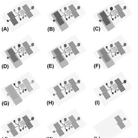 Schematic System Diagram Download Scientific Diagram