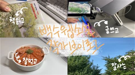 백수 웹소설 작가 Vlog 저도 갓생에 껴주시면 안 될까요 7시 기상하는 백수 매일 글 쓰고 책 읽고 여름 집밥 초간단 연어덮밥 묵참말이 Youtube