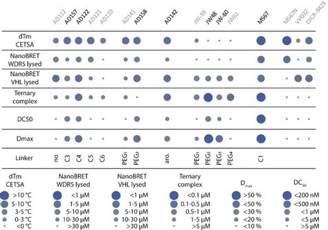 dot plot illustration of the measurement results for correlation