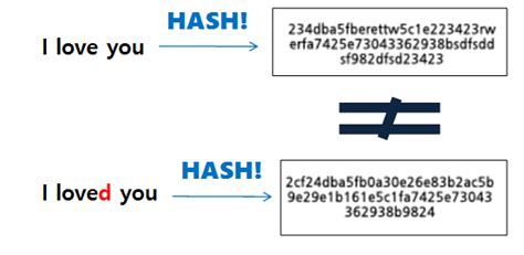 [자료구조] 01 hash hashset 중복 제거