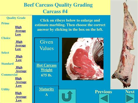 Ppt Beef Carcass Quality Grading Cde Practice Based On The 2003 Georgia State Meats Cde