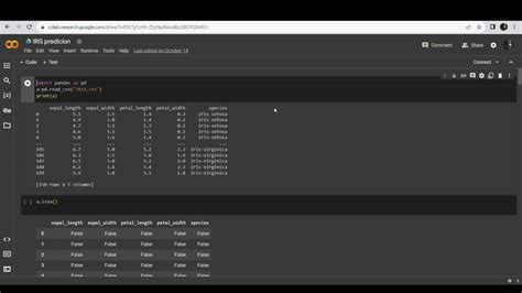 Esakki Valli Ram K On Linkedin Codsoft Internship Datascience Irisprediction