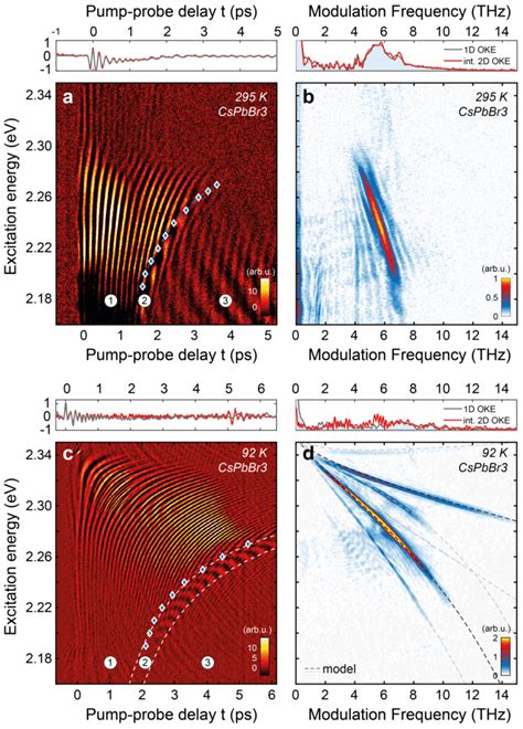 2d Oke In Cspbbr3 Energy Time Domain 2d Oke Signal Pseudo Color At