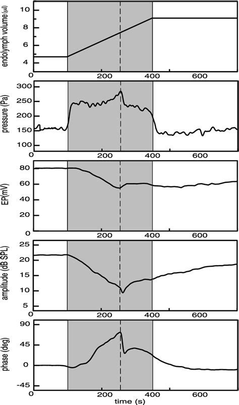 Figure 5 From Evaluation Of Cochlear Function In An Acute Endolymphatic Hydrops Model In The