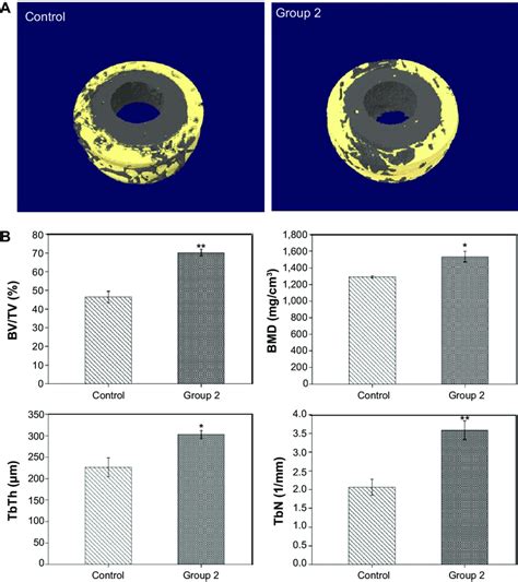 Micro Ct Reconstruction Models And Micro Ct Results After 8 Weeks Of Download Scientific