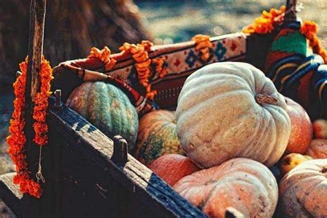 შატო მუხრანი ქანდა მჭადიჯვარი და ა შ 0 Gel ნიმა ტურსი