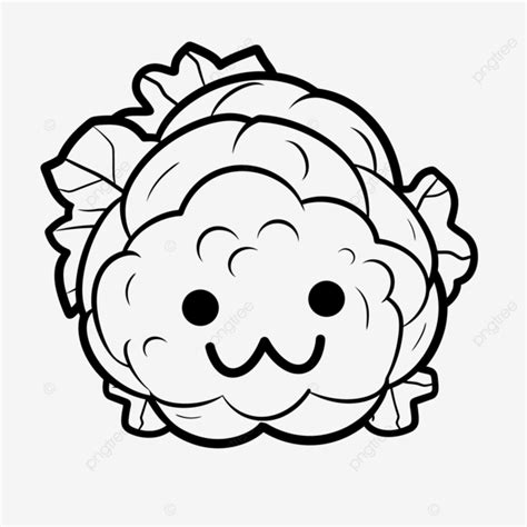 애니메이션 양배추 색칠 페이지 귀여운 개요 스케치 드로잉 벡터 콜리플라워 그리기 콜리플라워 개요 콜리플라워 스케치 Png 일러스트 및 벡터 에 대한 무료 다운로드