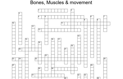 Ocr Pe Alevel Crossword Muscles Bones And Movement Teaching Resources