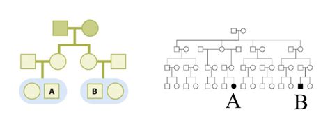 Solved 5 Calculate The Coefficients Of Relatedness R For