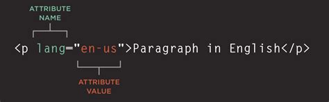 Html And Css For Beginners
