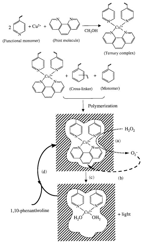 Schematic Representation Of The Molecular Imprinting Process And The Download Scientific