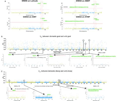 Genome Wide Screening And Functional Annotations Of Selected Cnvrs In