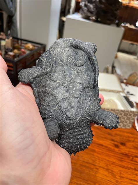 Macroclemys Temminckii Alligator Snapping Turtle Handmade Etsy