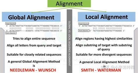 基因序列比对算法的发展与原理 知乎