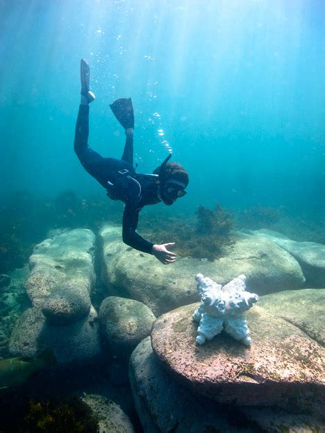 Lego Inspired Modular Structures Could Restore Coral Reefs