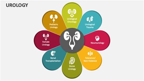 Urology Powerpoint Presentation Slides Ppt Template