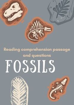Fossils Reading Comprehension And Questions Worksheet Informational Text