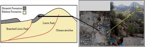 The Virtual Model Illustrates The Branch Of The Listric Fault Affecting