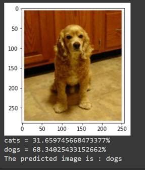 Python 基于支持向量机SVM的图像分类案例