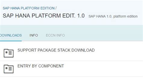 Install SAP HANA Studio HANA Client On A Windows System