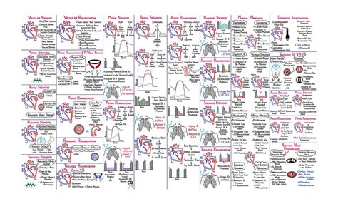 Ninja Nerd Medicine Lectures Notes And Illustrations