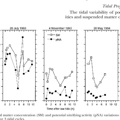 Current Velocity And Water Column Height During A Typical Tidal Cycle