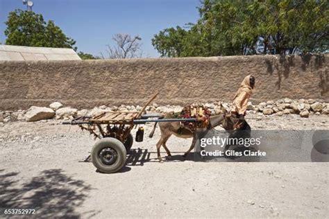 Dinsoor Photos And Premium High Res Pictures Getty Images