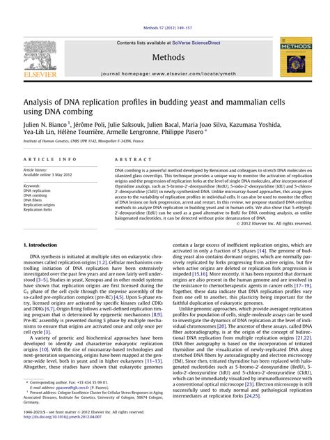 Pdf Analysis Of Dna Replication Profiles In Budding Yeast And