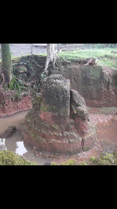 කෝට්ටේ ආනන්ද ශාස්ත්‍රාල භූමියේ ඇති නටබුන් උමං මාර්ගයක ඒවා ද Youtube