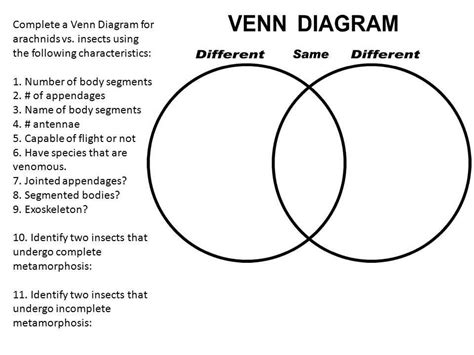 Understanding Venn Diagrams Essential Terms To Know