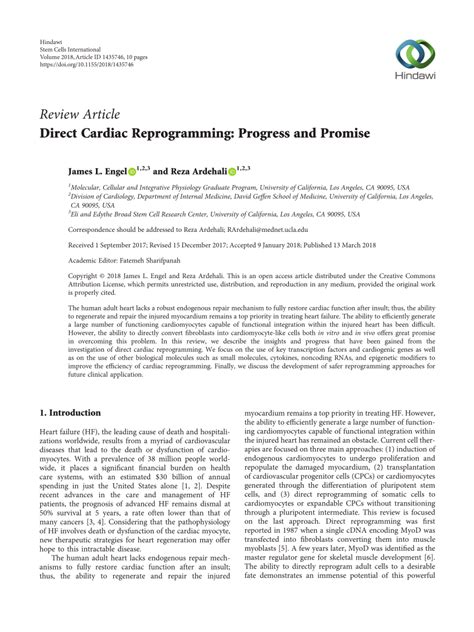 Pdf Direct Cardiac Reprogramming Progress And Promise
