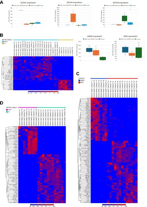 Unraveling The Molecular Landscape Of Uterine Tumor Resembling Ovarian