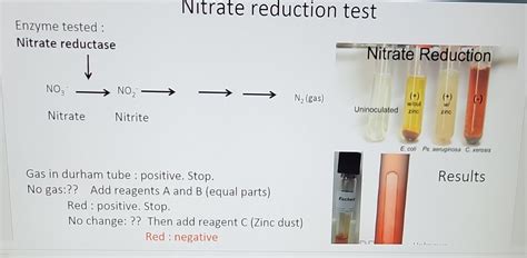 Method Add Equal Amounts Of Reagents A And B