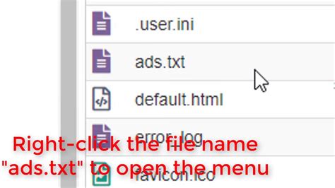 How To Create An Adstxt File For Wordpress And Fix Adstxt Issue In Adsense Youtube