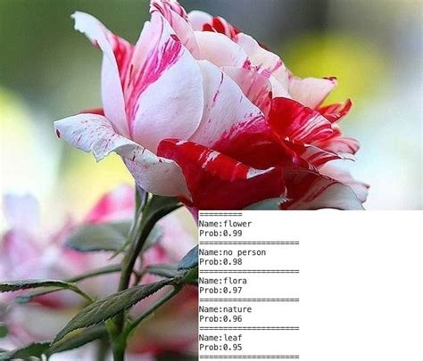 使用机器学习进行 Esp32 Cam 图像分类 趣讨教