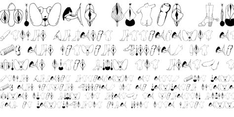 ADULT DINGBATS ALL Font Download For Free View Sample Text Rating And More On Fontsgeek Com