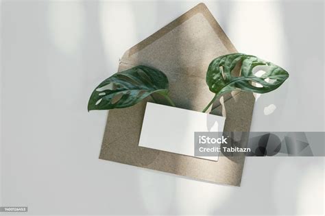 열대 여름 문구 모형 장면 빈 명함 공예 봉투 및 작은 괴물은 햇빛에 떠납니다 하얀 두들겨 맞은 테이블 배경 여름 브랜딩 사진