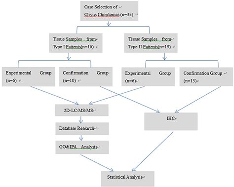 Workflow Of The Itraq Proteomic Strategy In This Work Six Download Scientific Diagram