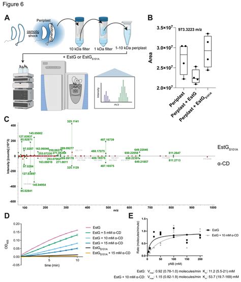 A Cyclic Hexameric Glucose Is The Native Substrate Of Estg Download Scientific Diagram