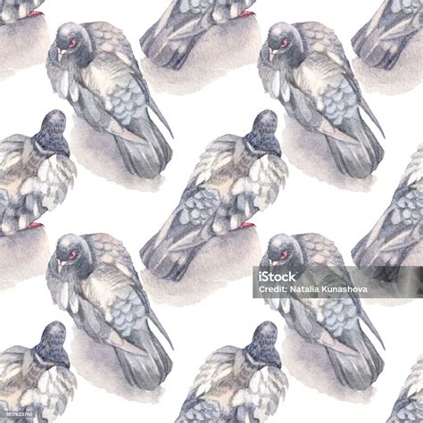 매끄러운 패턴의 수채화 회색 새 비둘기는 흰색 배경에 분리되어 있습니다 카드 또는 포장을 위해 손으로 그린 비둘기 스케치북과